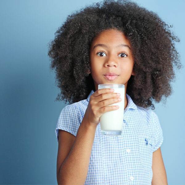 SOLAREC · Our products